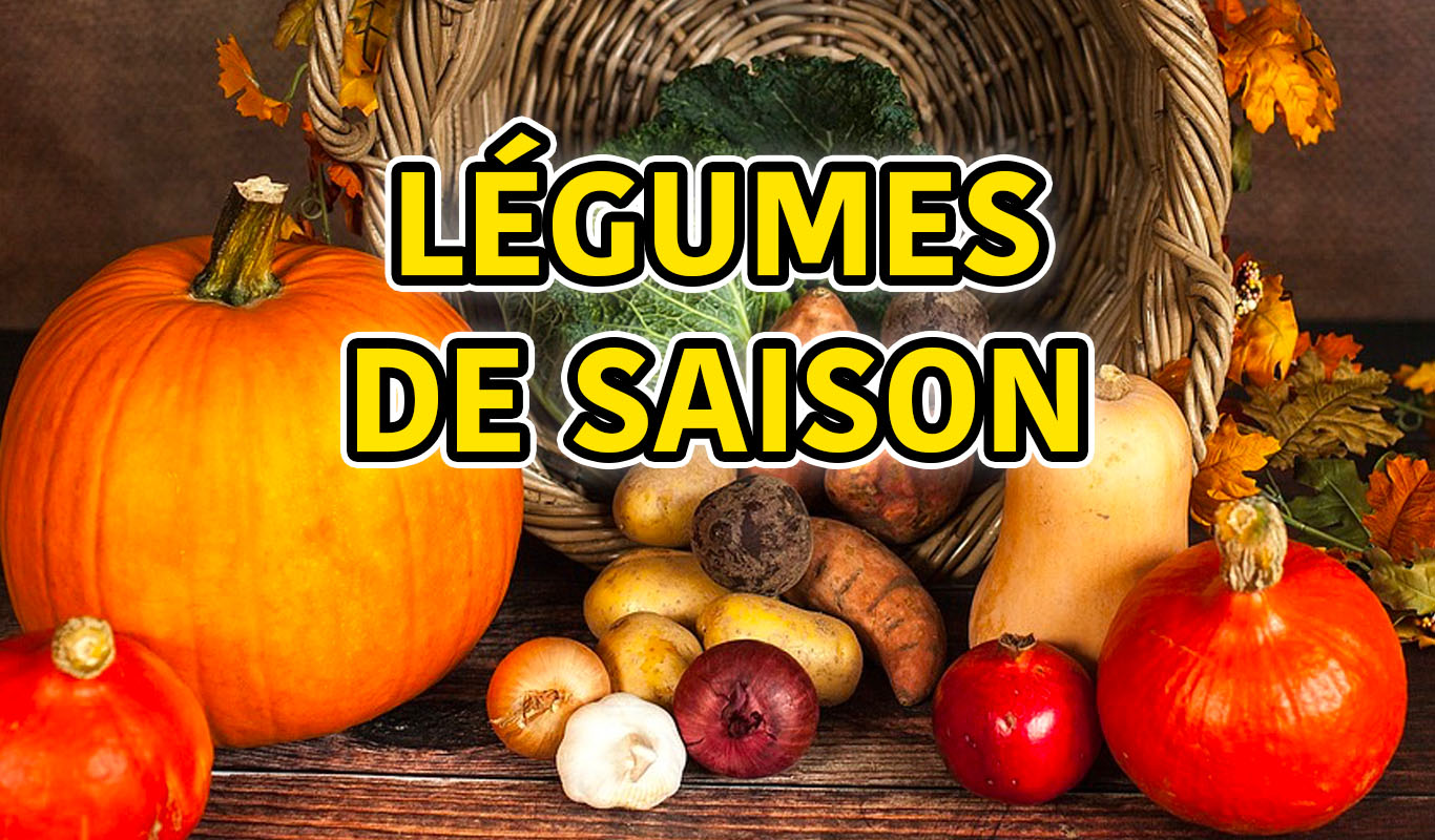 Légumes de saison : Le calendrier pour manger sainement