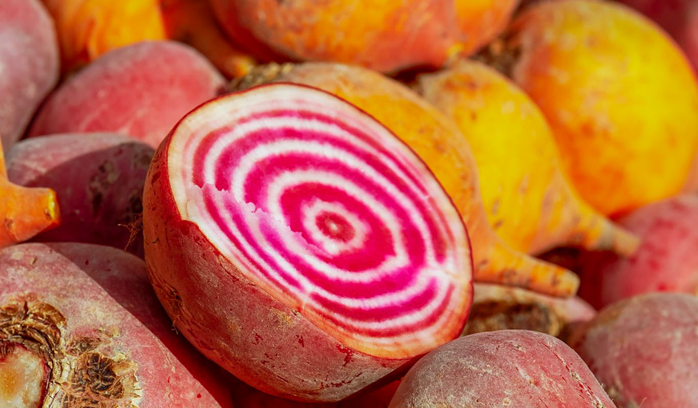 La betterave : Tout savoir sur cet aliment