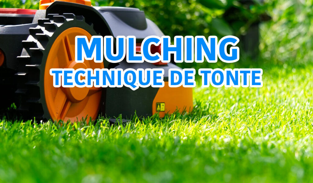 Mulching : tout savoir sur cette technique de tonte