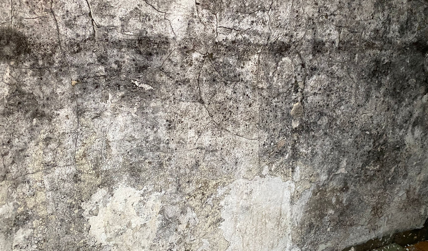 Nettoyer la moisissure des murs facilement