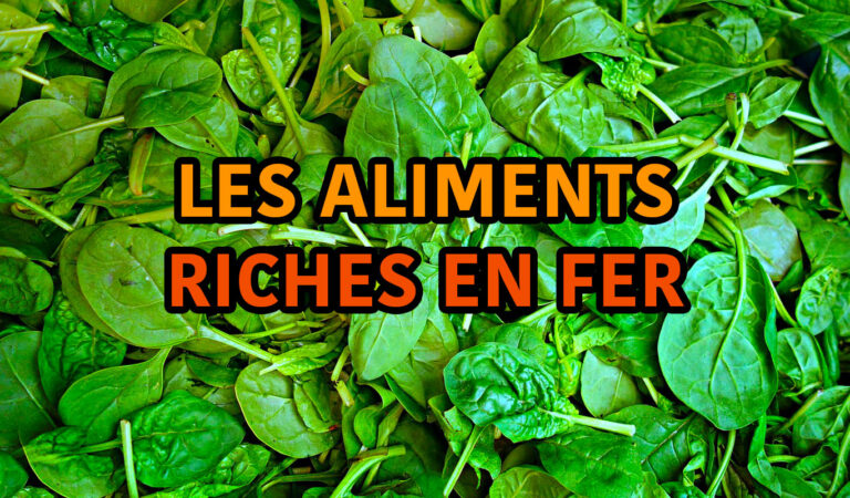 Les aliments riches en fer : indispensables pour la santé