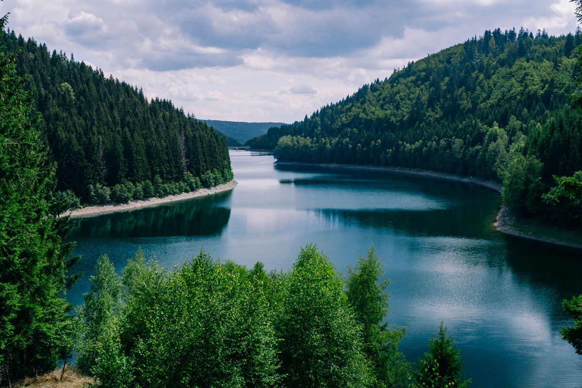 Amazonie : partir à la découverte d'un lieu unique
