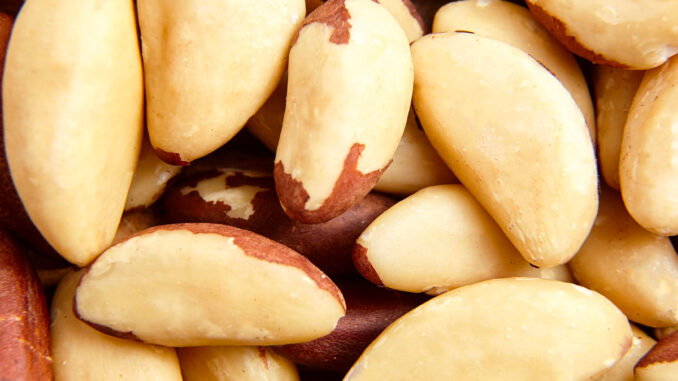 Les noix du Brésil : bienfaits, apports, précautions, recettes