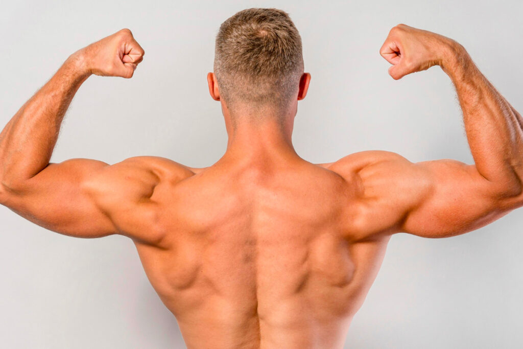 Muscler ses épaules : les meilleurs exercices